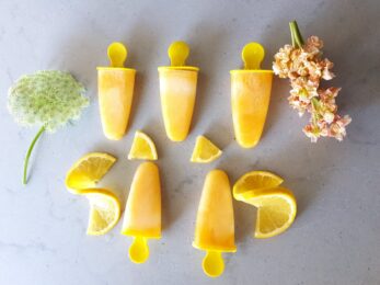 Fruit or Smoothie Ice Blocks - Wholesome Bellies