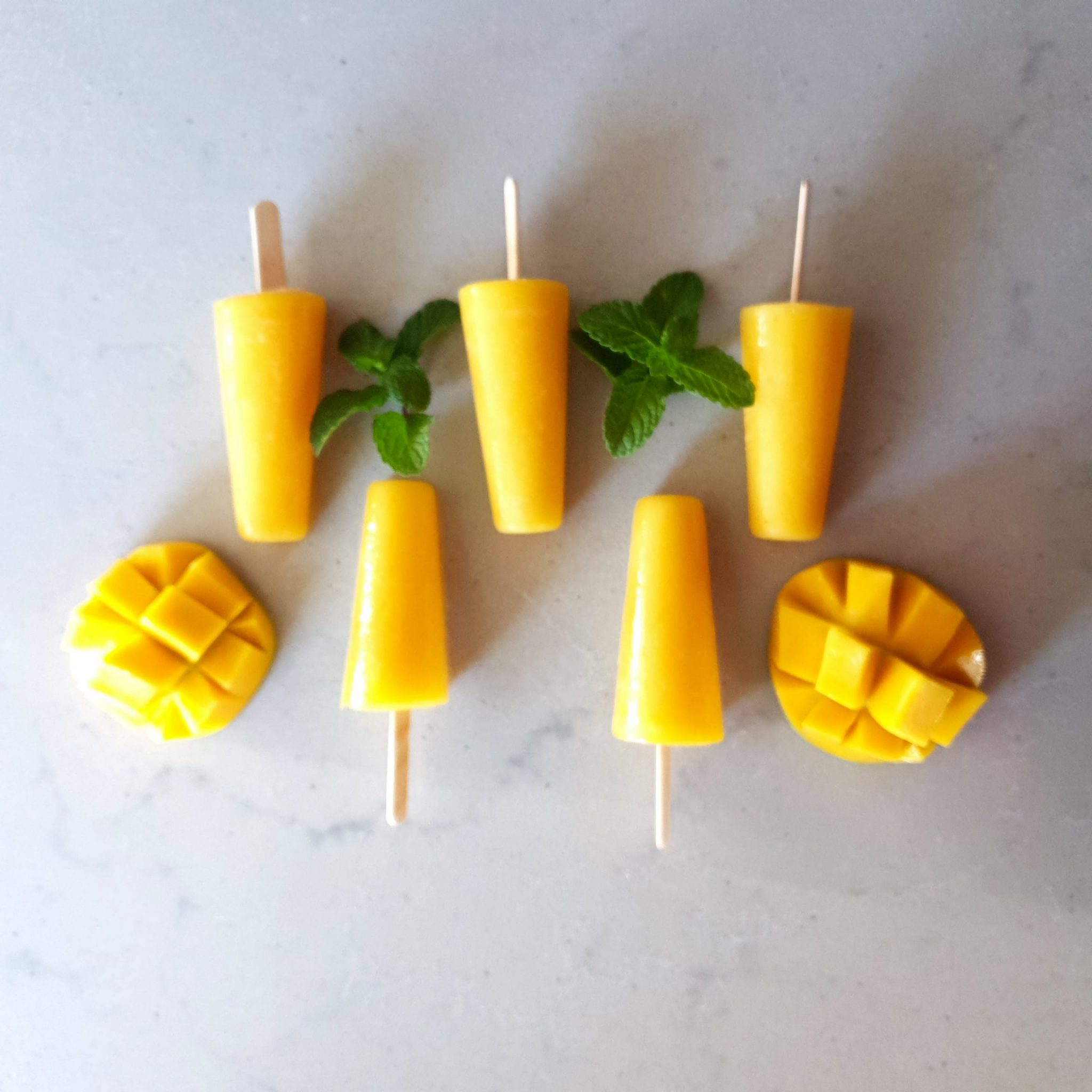 Fruit or Smoothie Ice Blocks - Wholesome Bellies