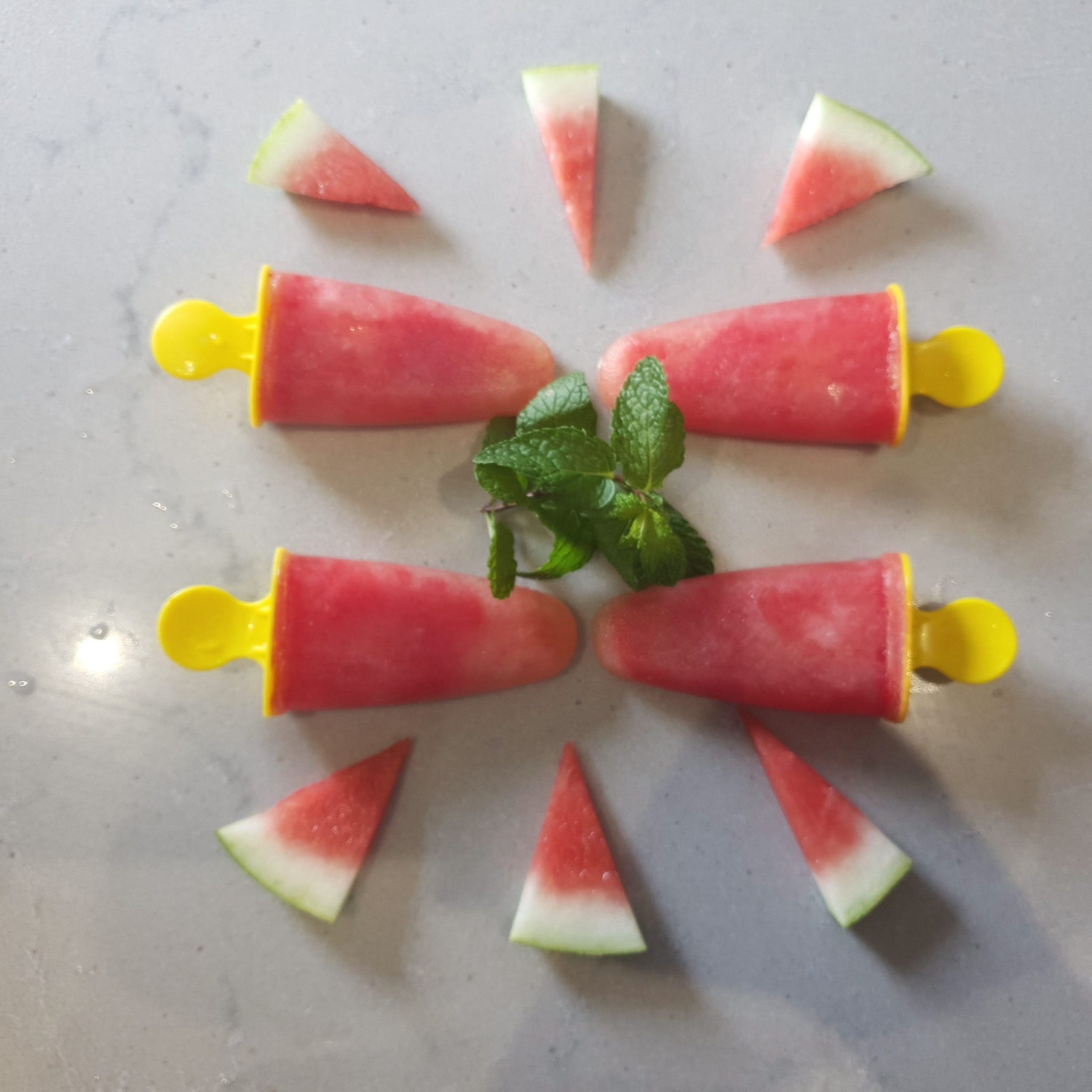 Fruit or Smoothie Ice Blocks - Wholesome Bellies