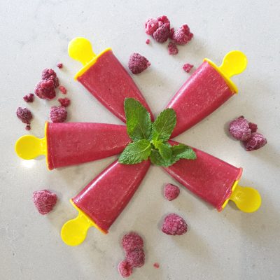 Fruit or Smoothie Ice Blocks - Wholesome Bellies